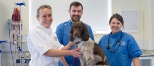 Nottingham Veterinary Interview Questions - Medic Mind