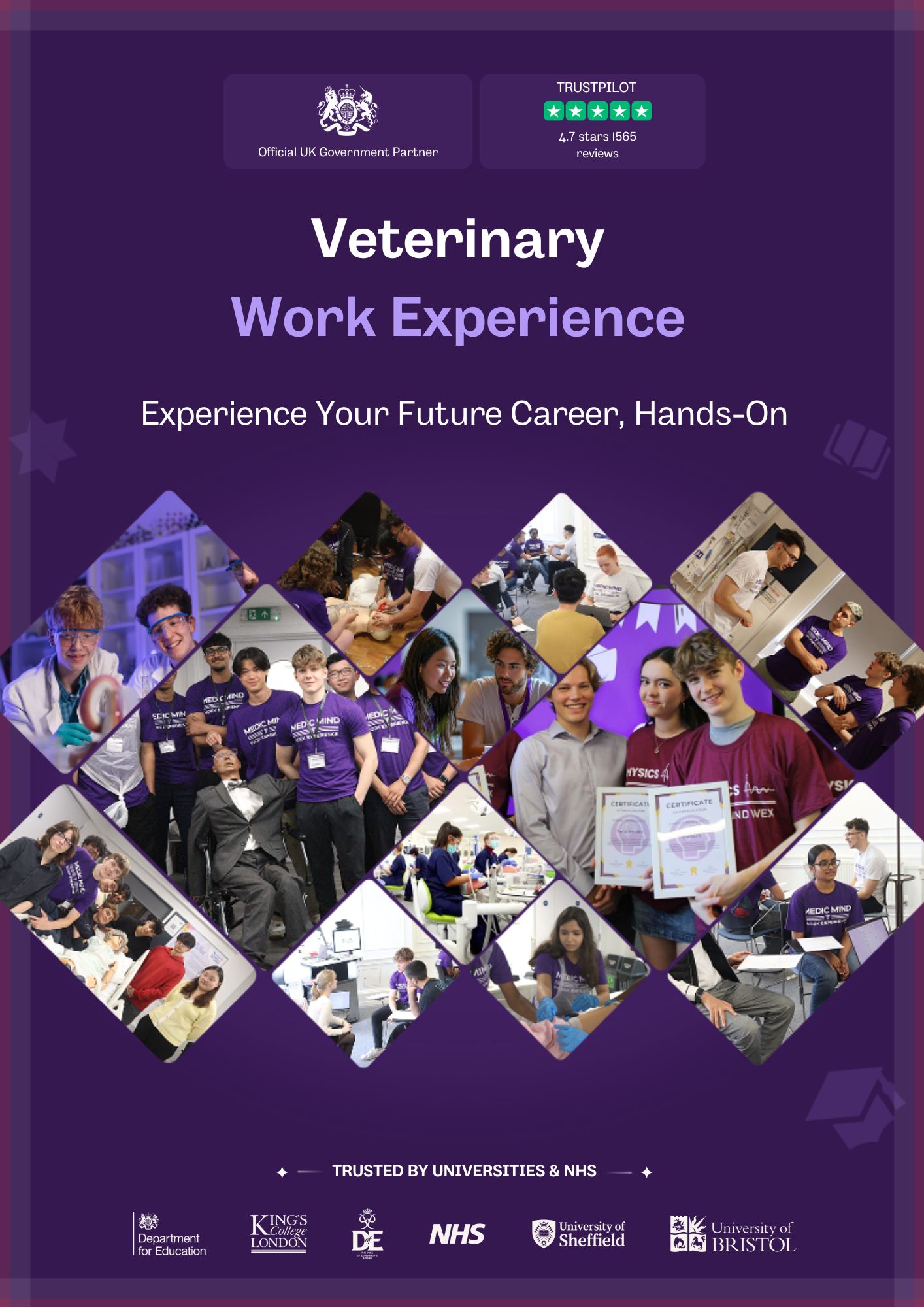 Vet Work Experience: Get Your First Practical Dental Skills